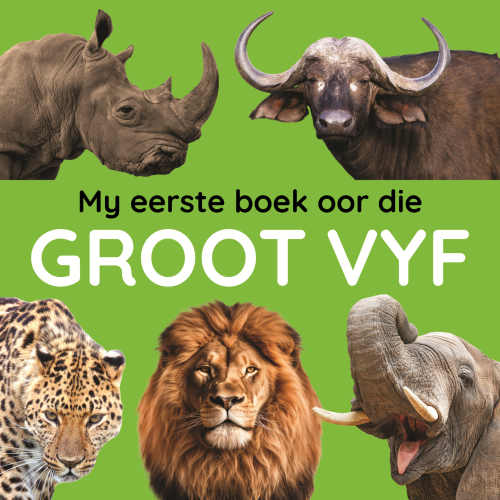 My eerste boek oor die Groot Vyf – DiskontoBooks