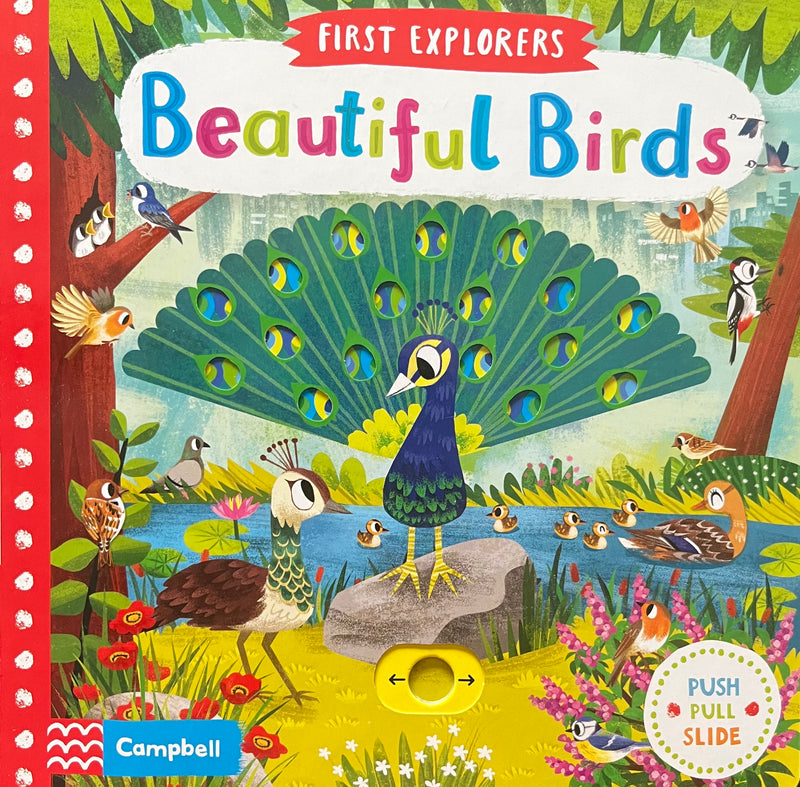 Beautiful Birds (First Explorers) – DiskontoBooks