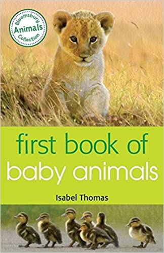 First Book of Baby Animals – DiskontoBooks