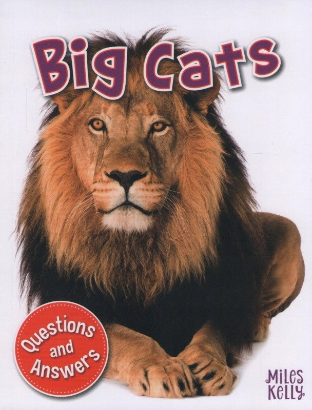 Q & A (3): Big Cats – DiskontoBooks