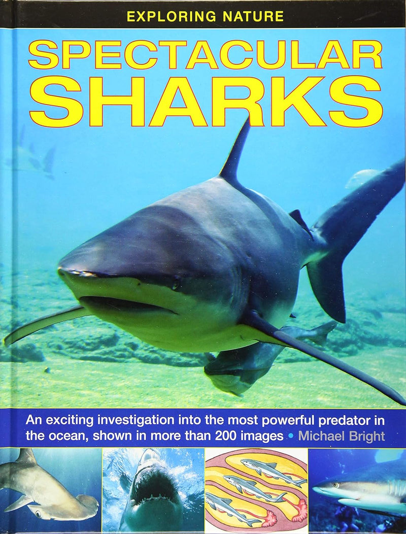 Exploring Nature: Spectacular Sharks – DiskontoBooks