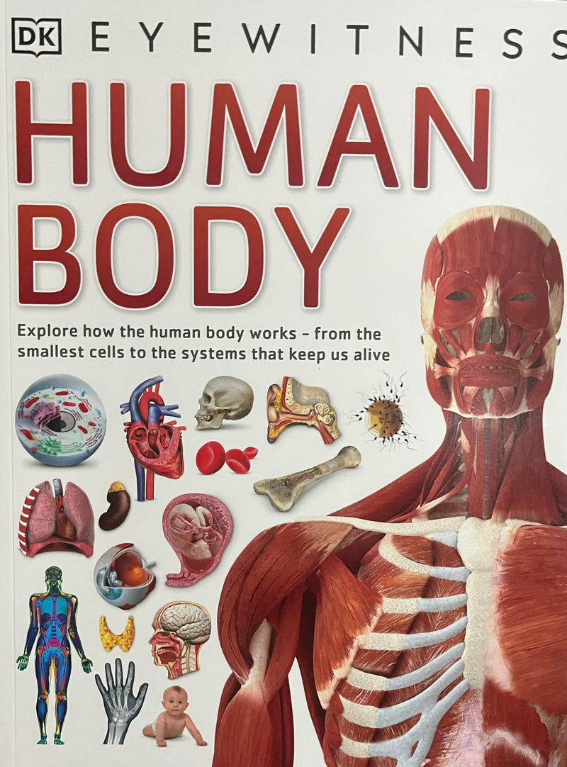 Eyewitness: Human Body – DiskontoBooks