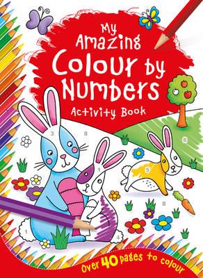 My Amazing Colour by Numbers Activity Book – DiskontoBooks