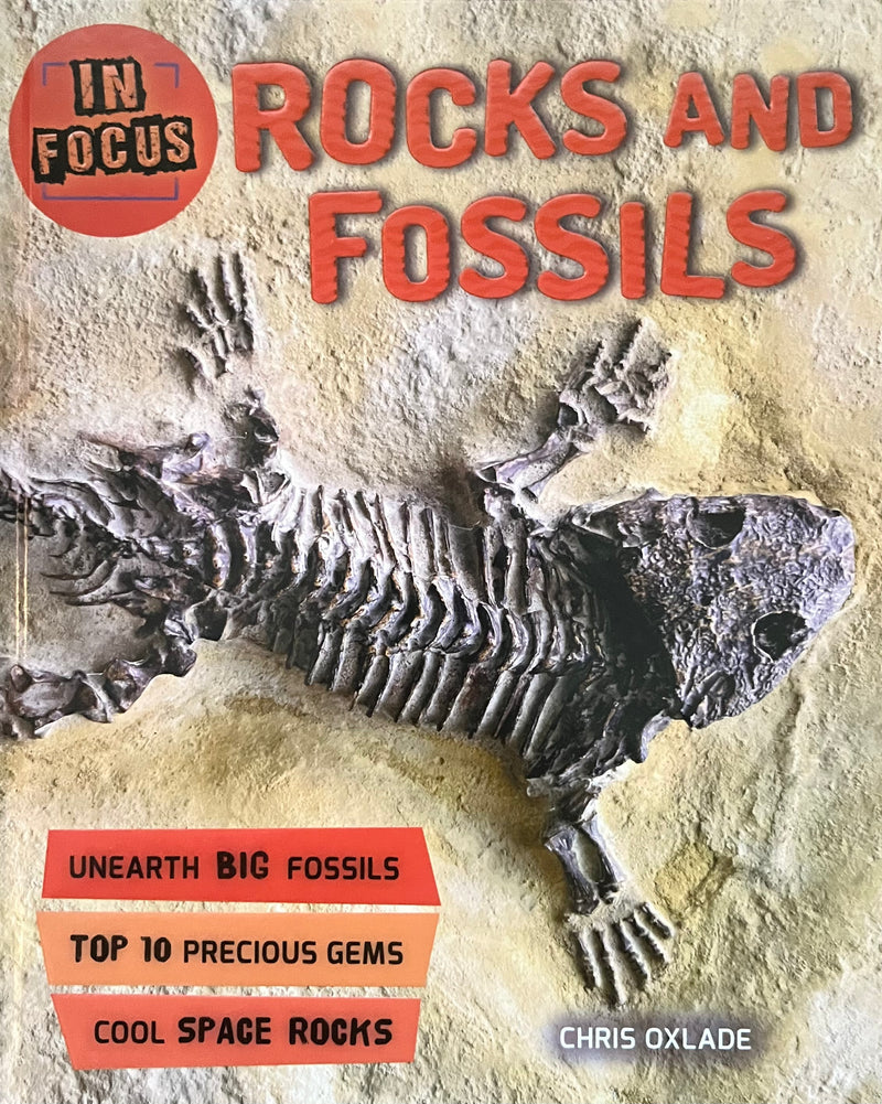 In Focus: Rocks and Fossils – DiskontoBooks