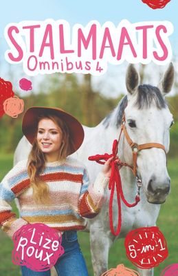 Stalmaats Omnibus 4 – DiskontoBooks