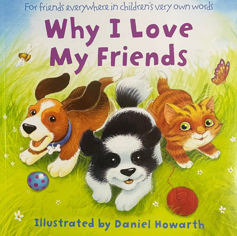 Why I Love my Friends (Picture Flat) – DiskontoBooks